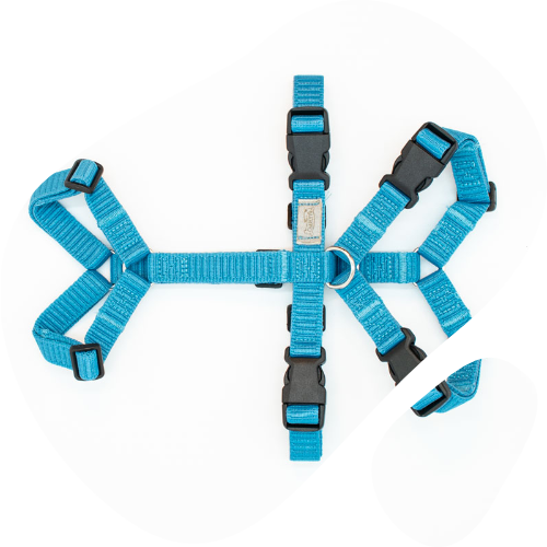 Double H Harness - Charlyto